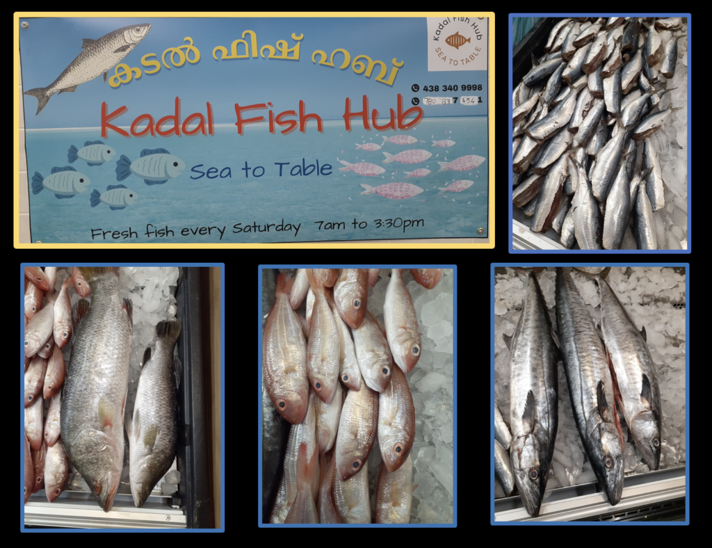 KADAL FISH HUB - Trails End Furniture