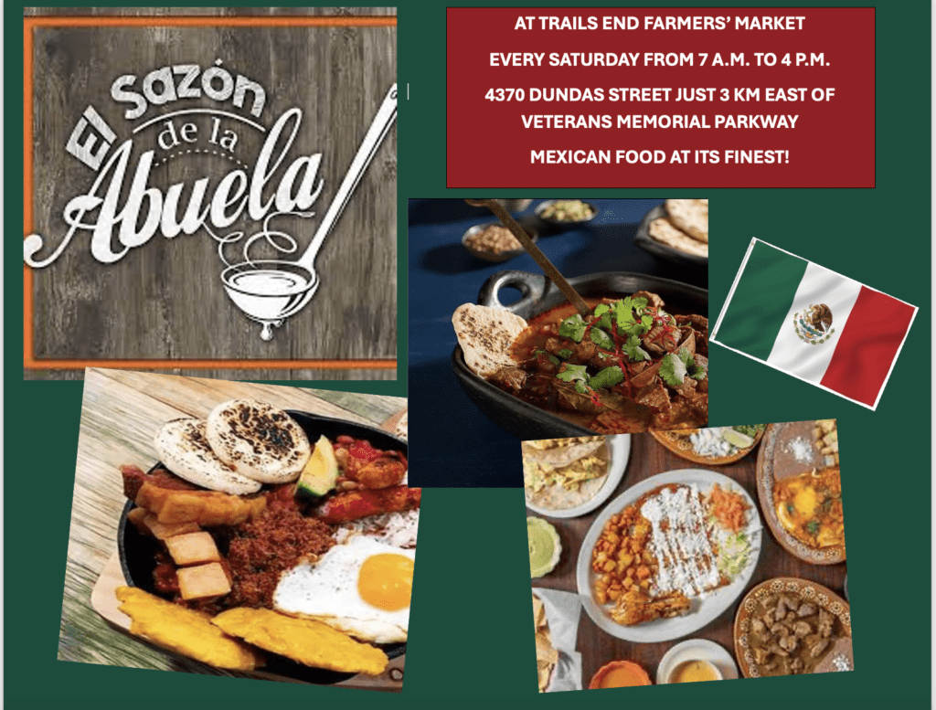 EL SAZON DE LA ABUELA - Orgarium - Agriculture Farming WordPress Theme